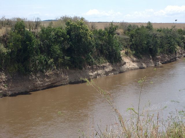 Mara river MaraRiver Bridge
