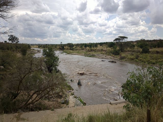Mara river MaraRiver Bridge