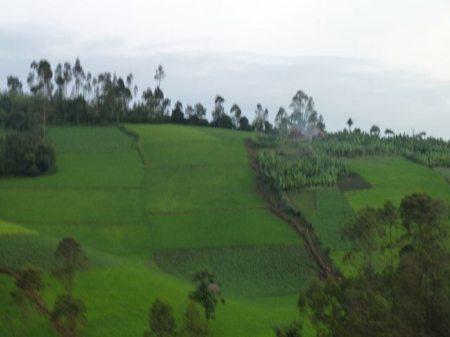 Soddo town Sosddo Hauptstadt der Woylata Zone